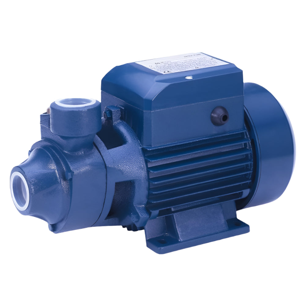 Buy LuckyPro End-Suction Peripheral Pump 0.5HP, 0.8HP, 1.0HP, 1.5HP in ...